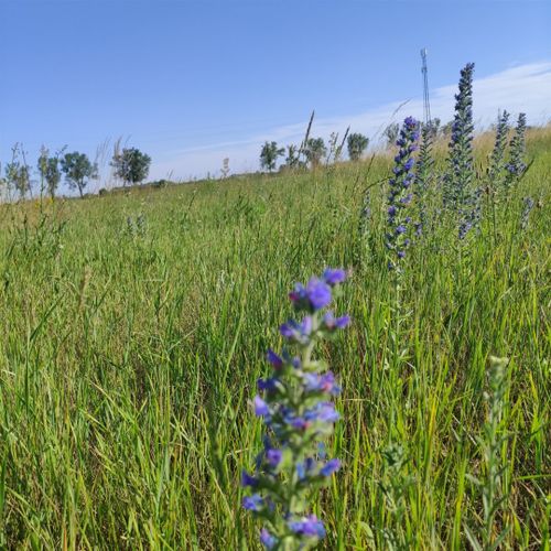 Działka budowlana na sprzedaż Pobiedziska, 2115 m2, prostokąt od ...